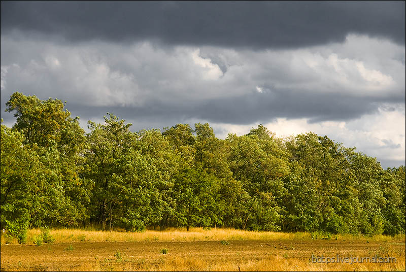 Базовая разметка HTML